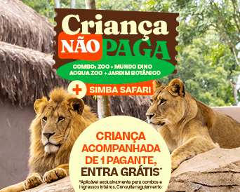 COMBÃO SIMBA SAFARI